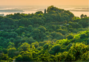 GPS Renewables Private Limited